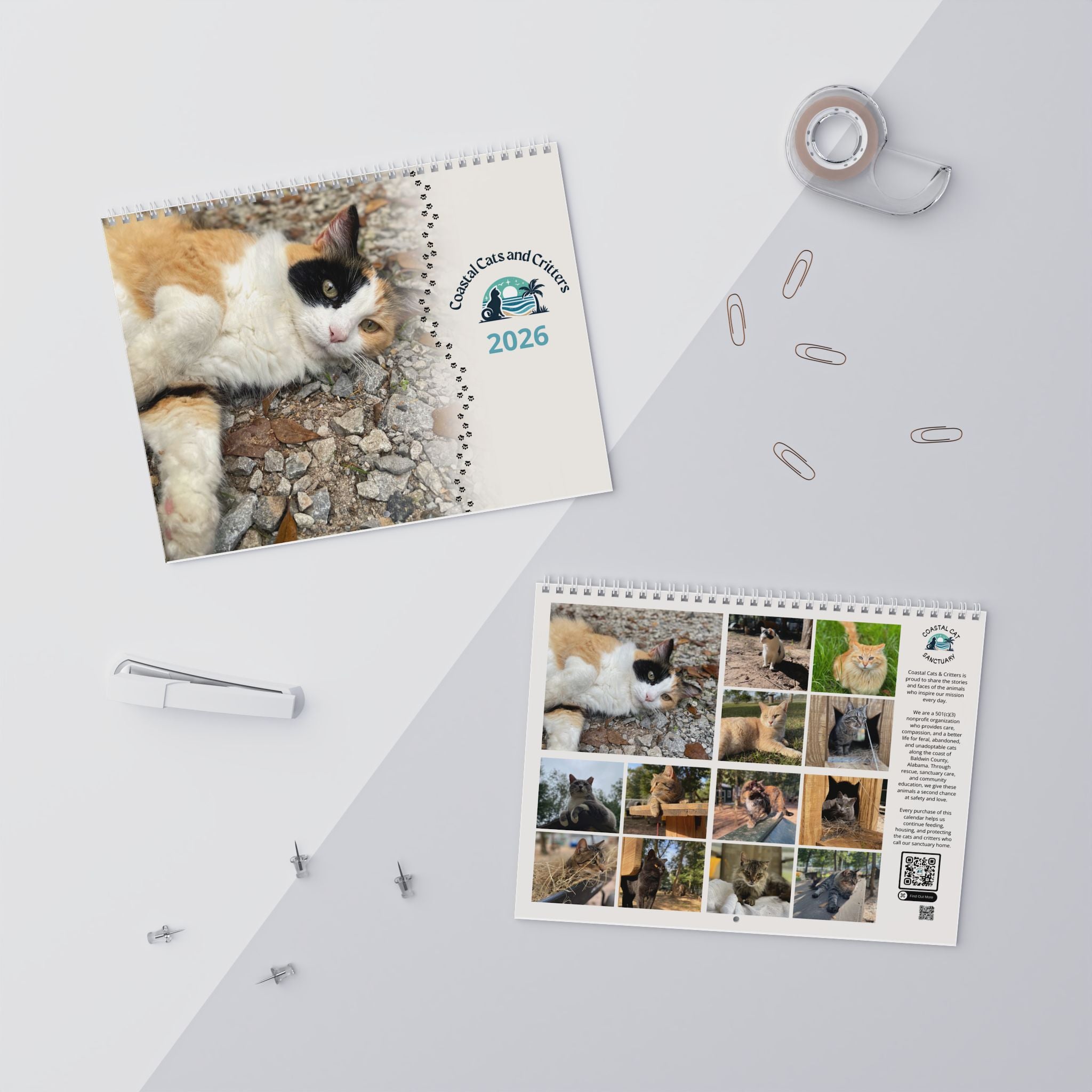 Coastal Cats and Critters Photo Wall Calendar – Monthly Planner with P